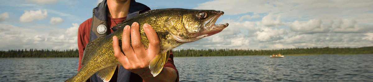 Walleye Wacker | Jack Wacker Fishing Gear Co. | Saskatchewan